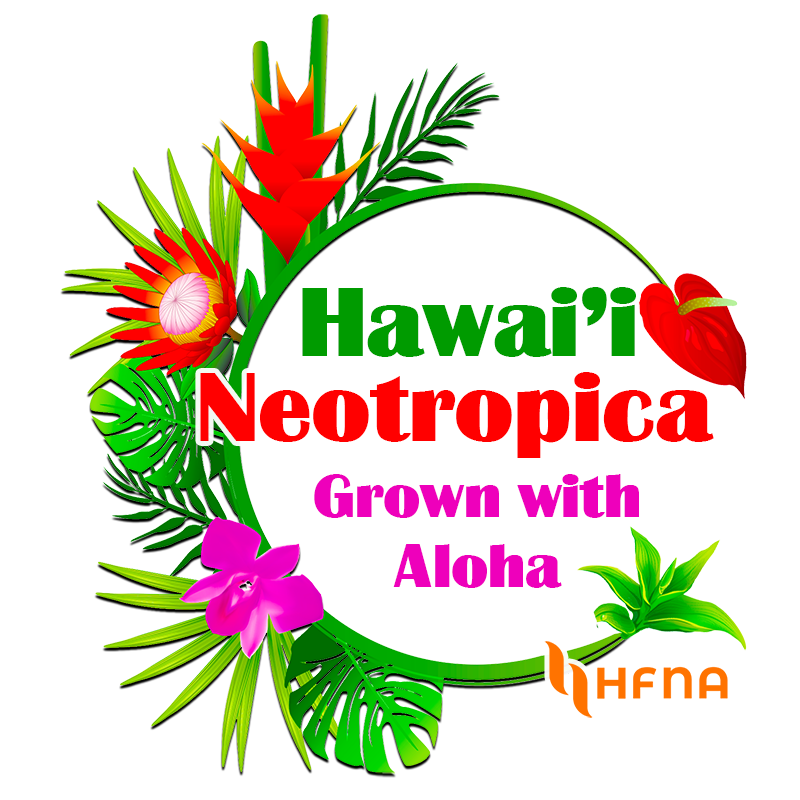 Anthuriums – Hawaii NeoTropica